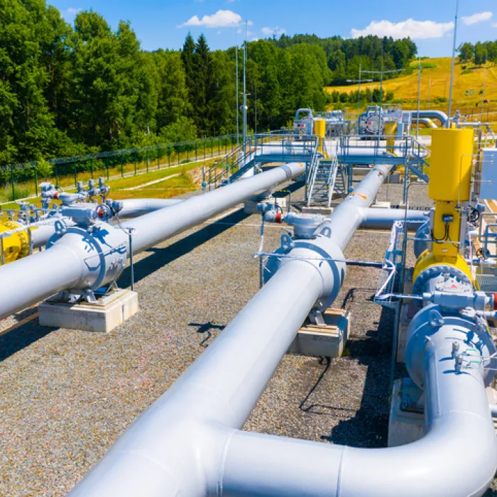 Addressing Risk in Hydrogen-Natural Gas Blends | Exponent
